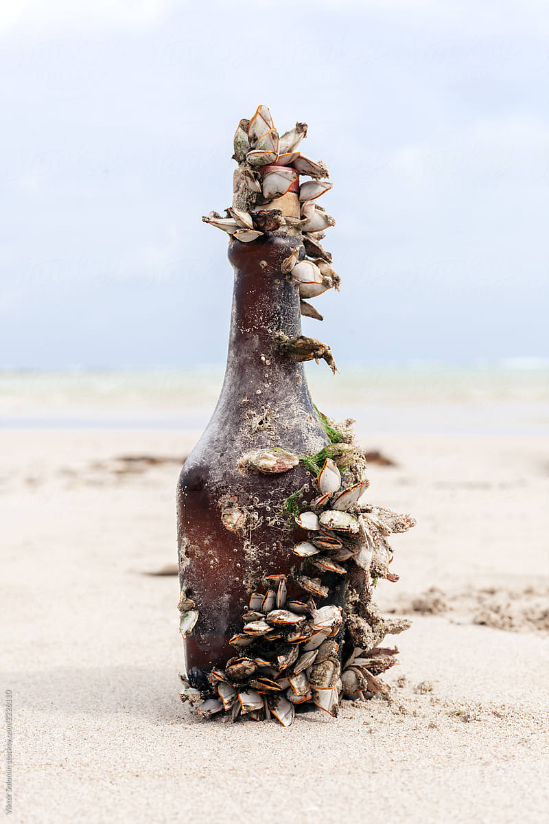 "Bottle Glass Old Vintage Covered With Shells Clams" by Stocksy ...