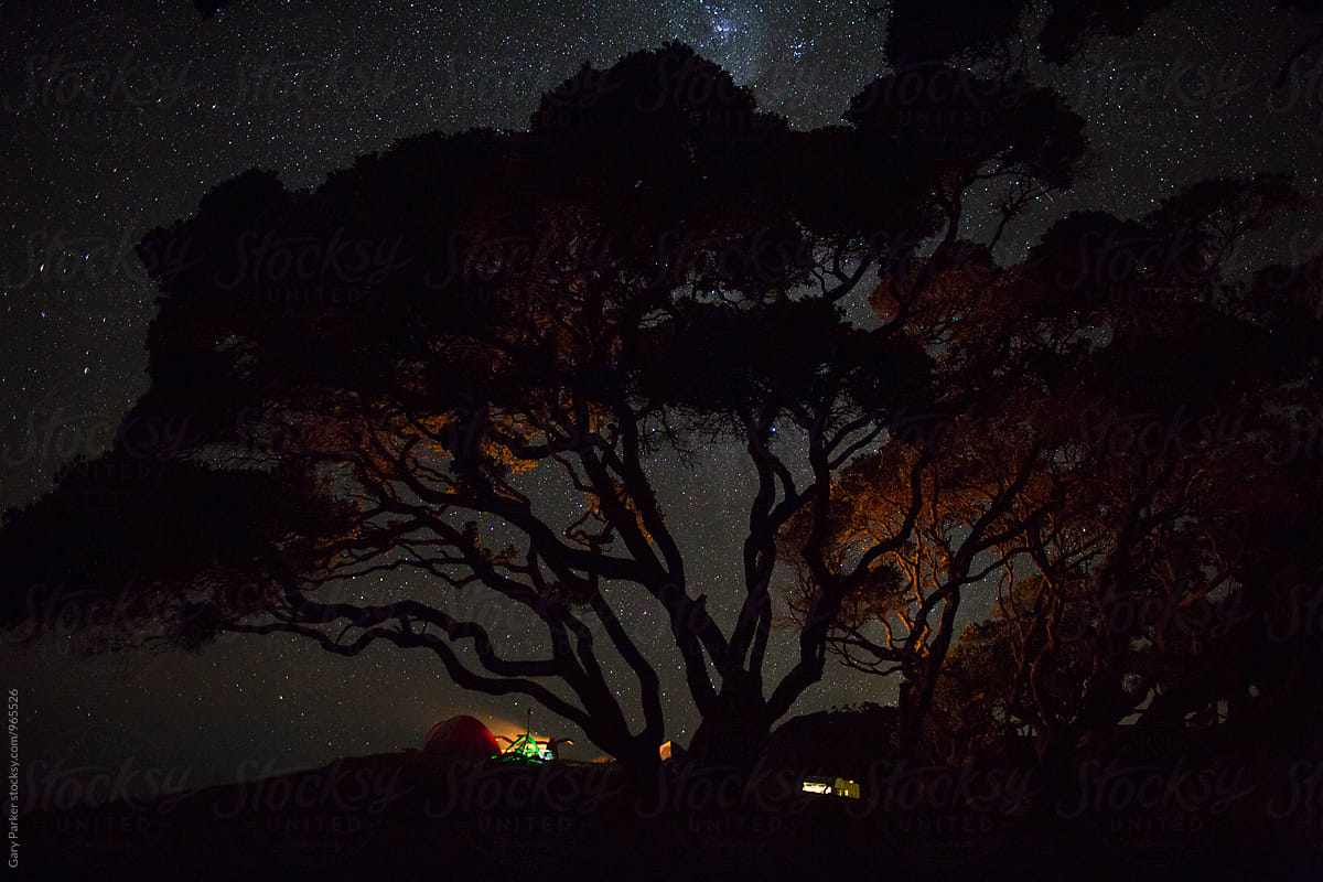 "Campfire Under A Large Tree" by Stocksy Contributor "Gary Parker ...