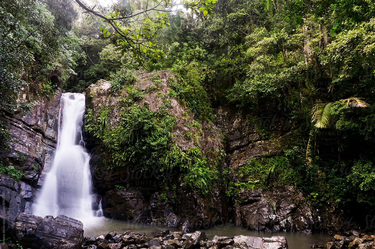 "Waterfall In Rainforest" by Stocksy Contributor "Simone Anne" - Stocksy