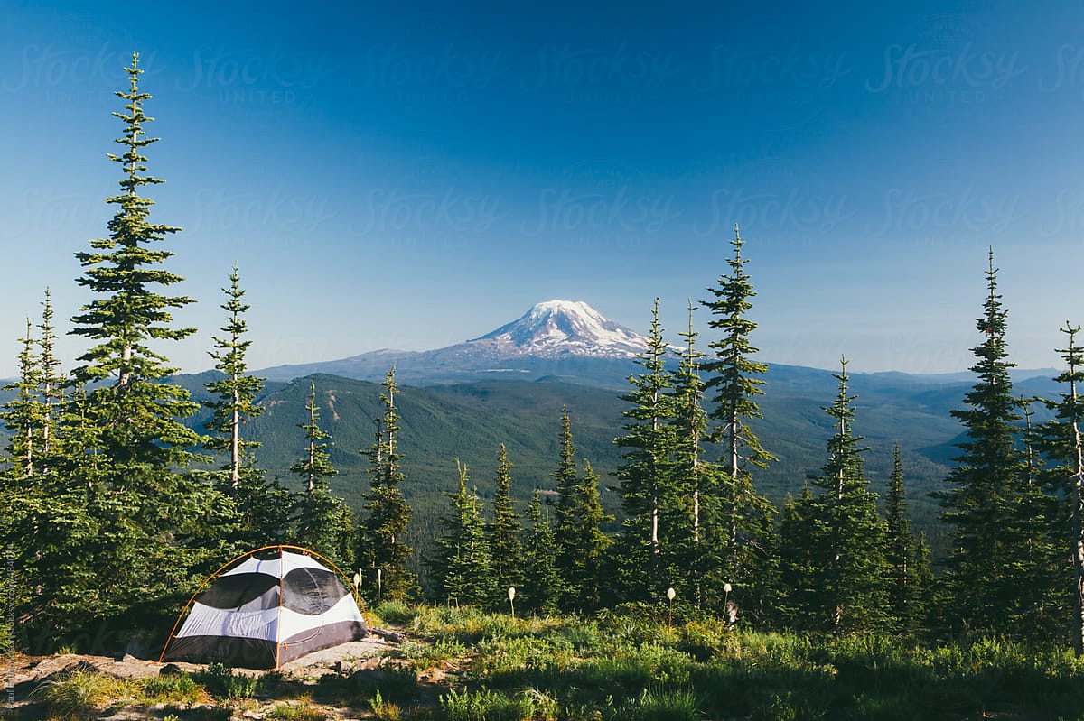 "Camping Tent In Alpine Meadow, Overlooking Lush Forest, Mt. Adams In ...