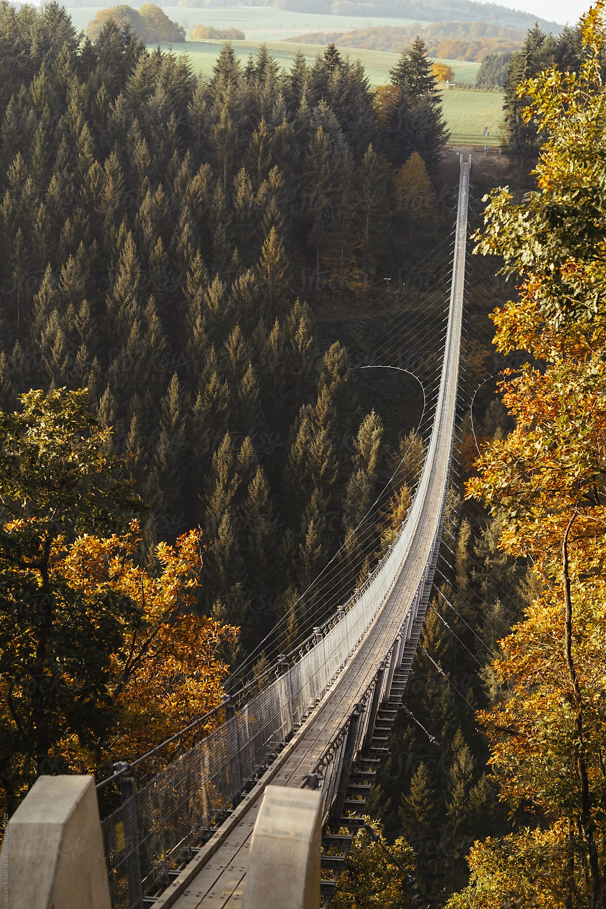 "Bridge In The Middle Of Nature" by Stocksy Contributor "Jovana Rikalo ...