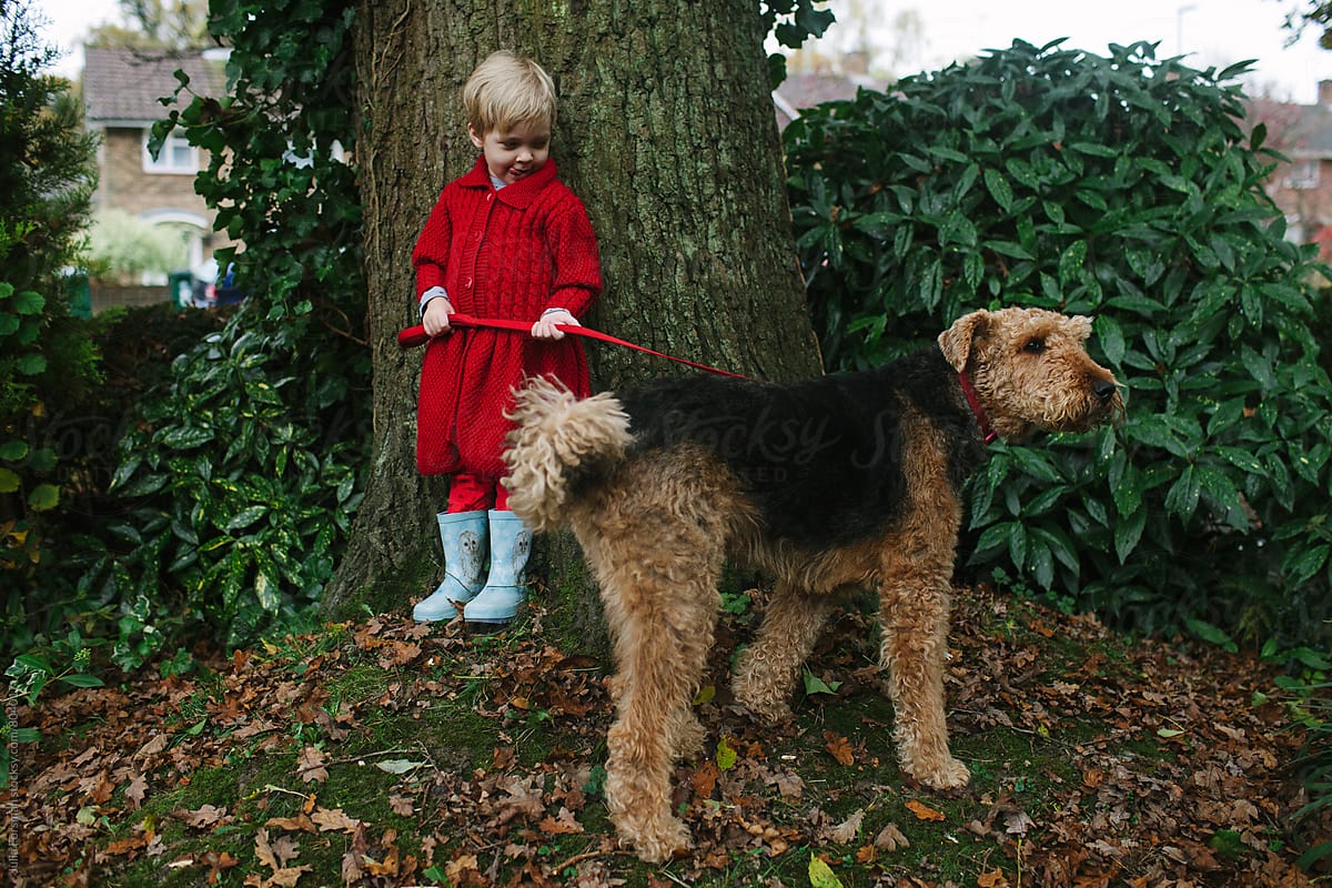 "A Little Girl Holds An Airedale Dog On A Lead In A Garden." by Stocksy ...