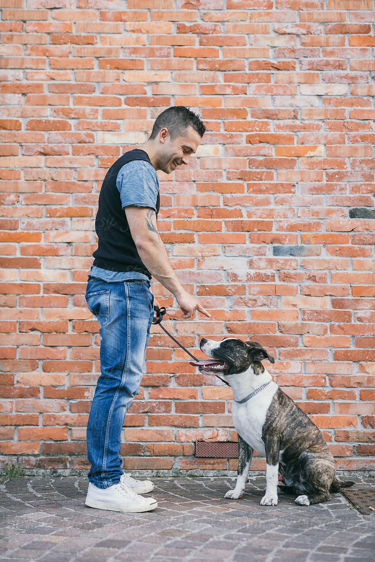 "Man Educating His Dog. Copy Space." by Stocksy Contributor "Mauro ...