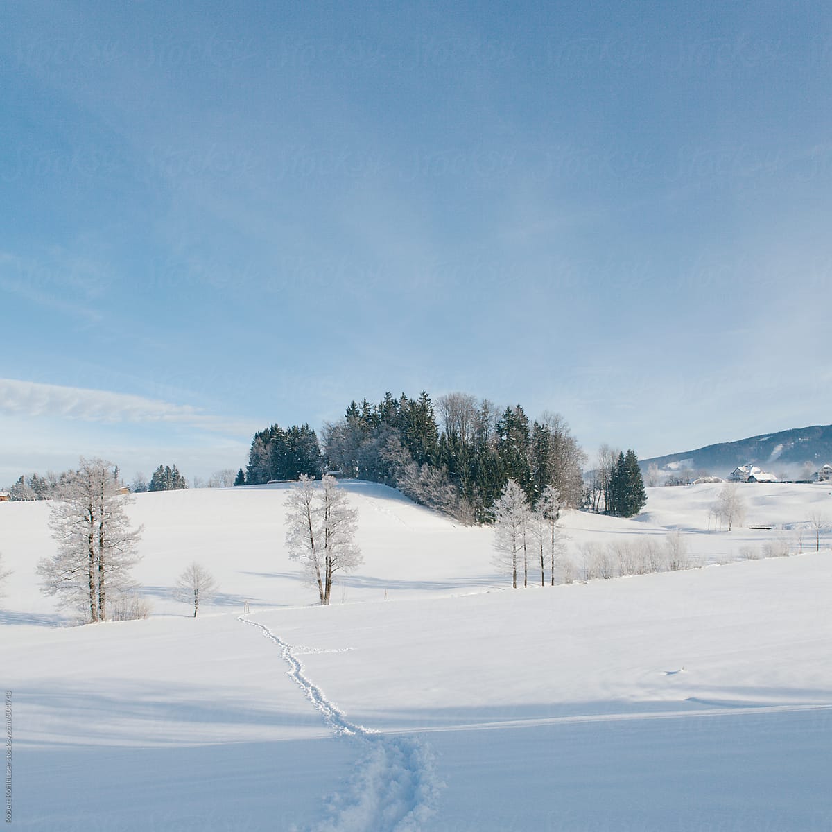 "Winter Landscape In Austria" by Stocksy Contributor "Robert Kohlhuber ...