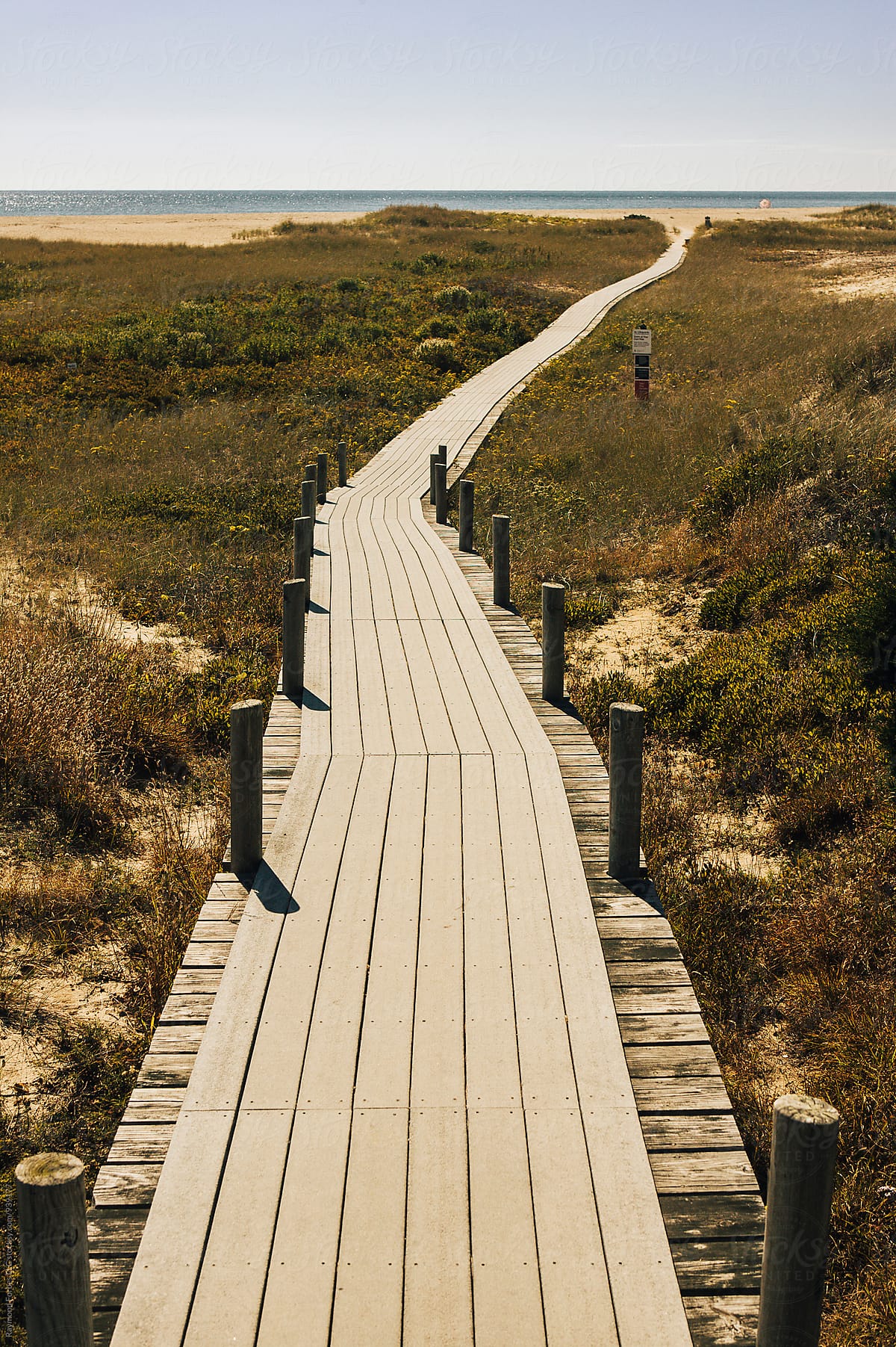 "Chappaquiddick Beach Boardwalk" by Stocksy Contributor "Raymond Forbes ...