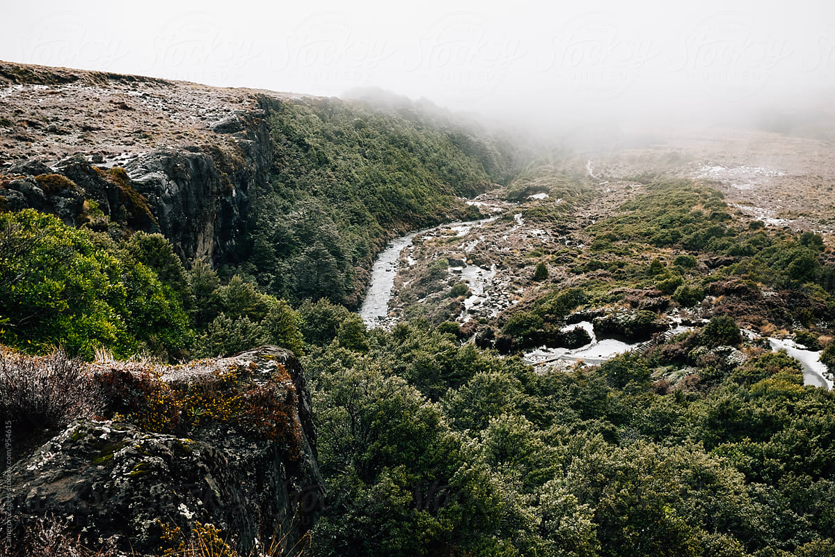 "Looking Down On Creek From Cliff" by Stocksy Contributor "Cameron ...