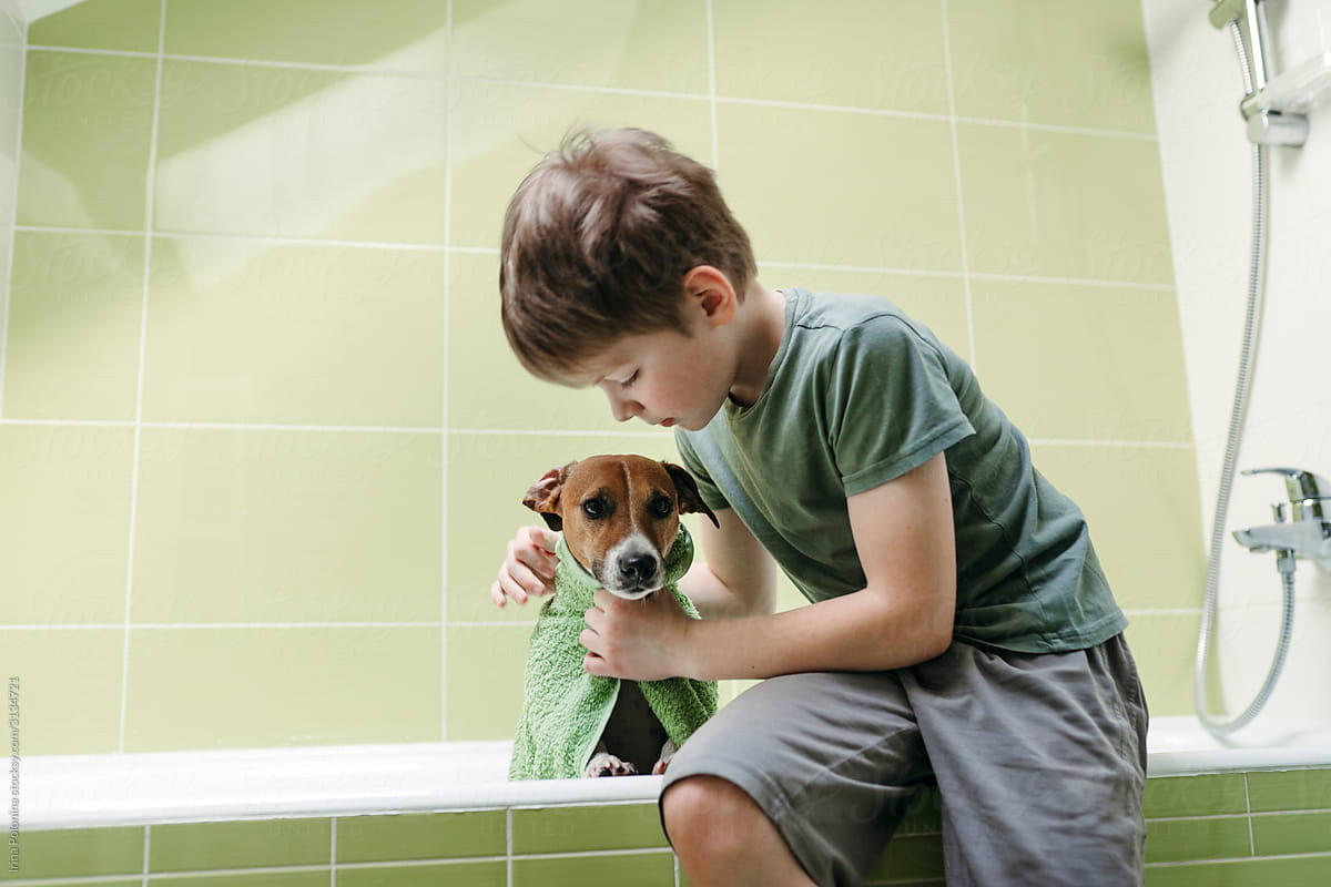 "A Cute Little Boy Takes Care Of His Dog At Home." by Stocksy ...