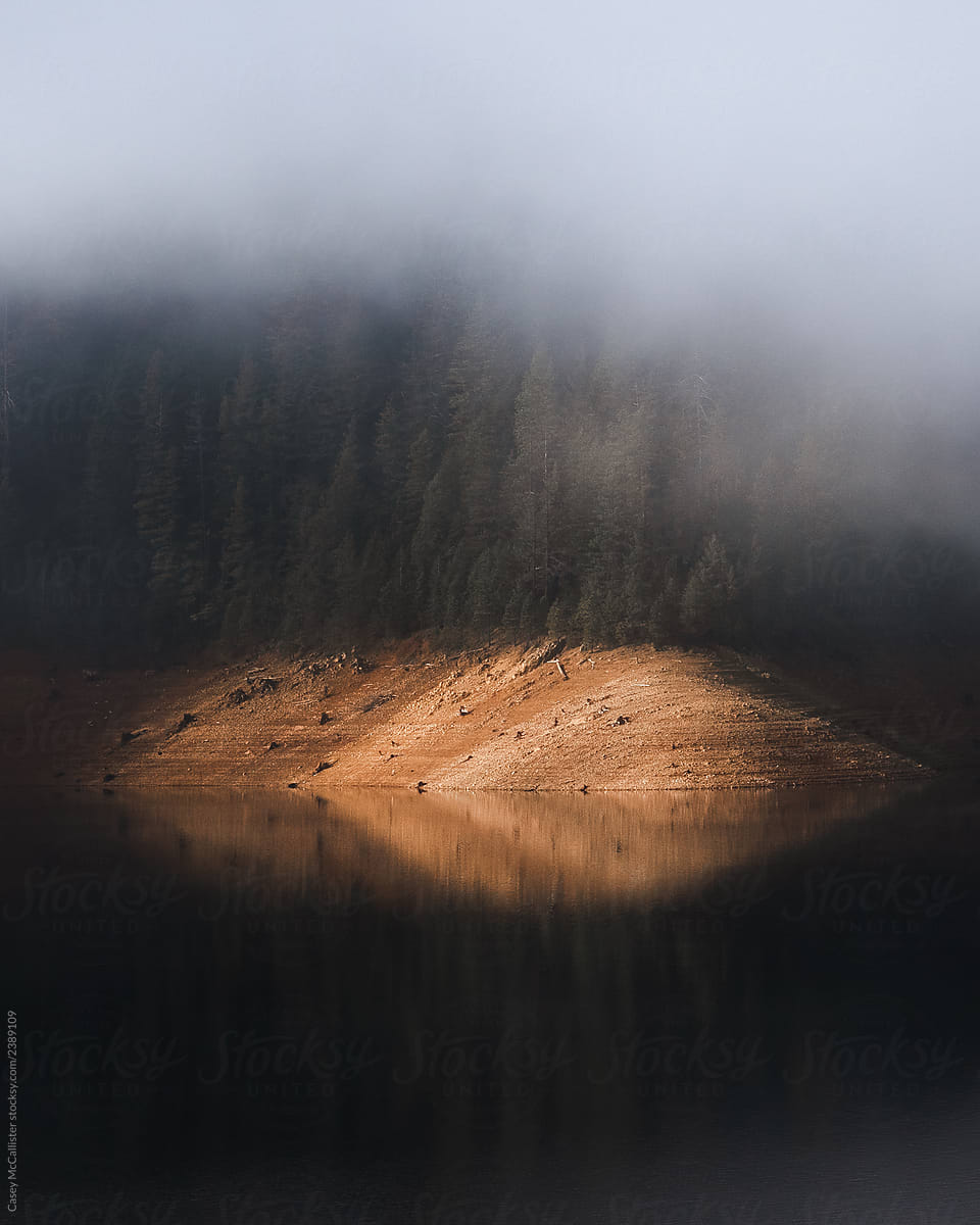 "Lake Shore Light" by Stocksy Contributor "Casey McCallister" - Stocksy
