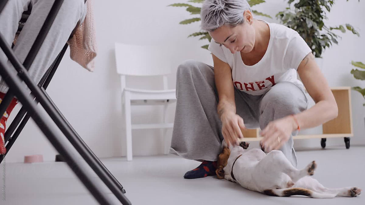 "Mature Woman Training Dog Near Daughter" by Stocksy Contributor ...