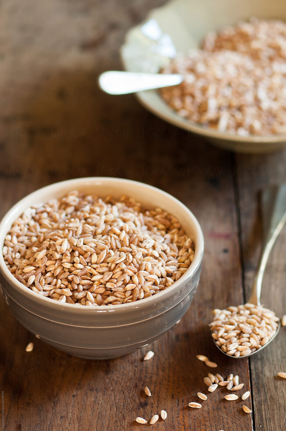 "Spelt Grains" by Stocksy Contributor "Laura Adani" - Stocksy