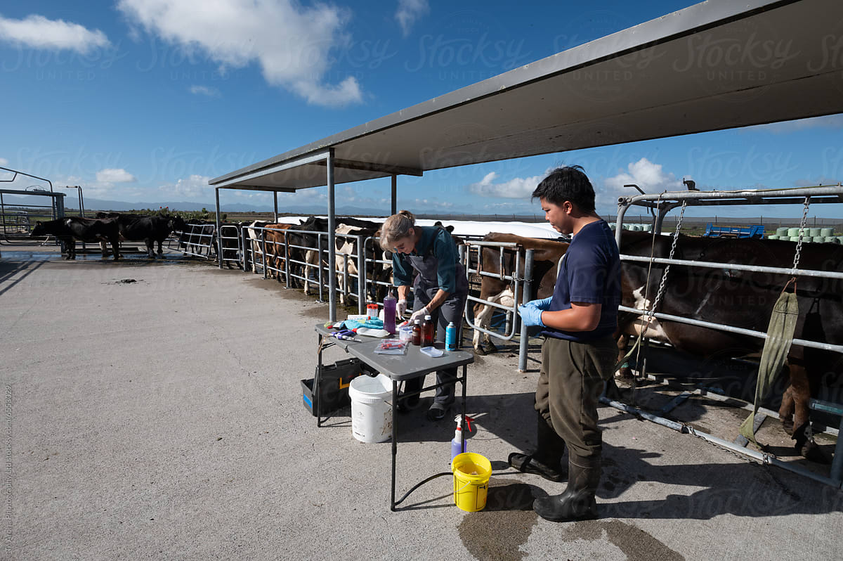"Autumn Trace Element Testing" by Stocksy Contributor "Te Aroha ...