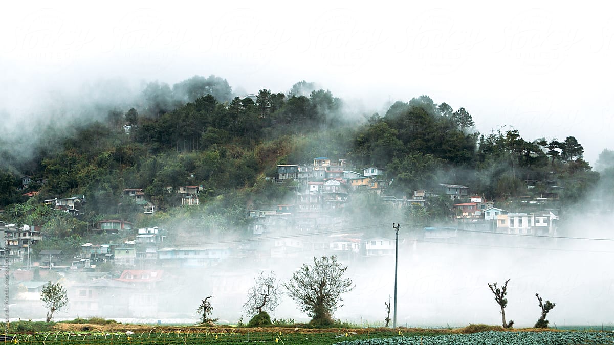 "Houses Nestled On A Hill And Partially Covered By Trees." by Stocksy ...