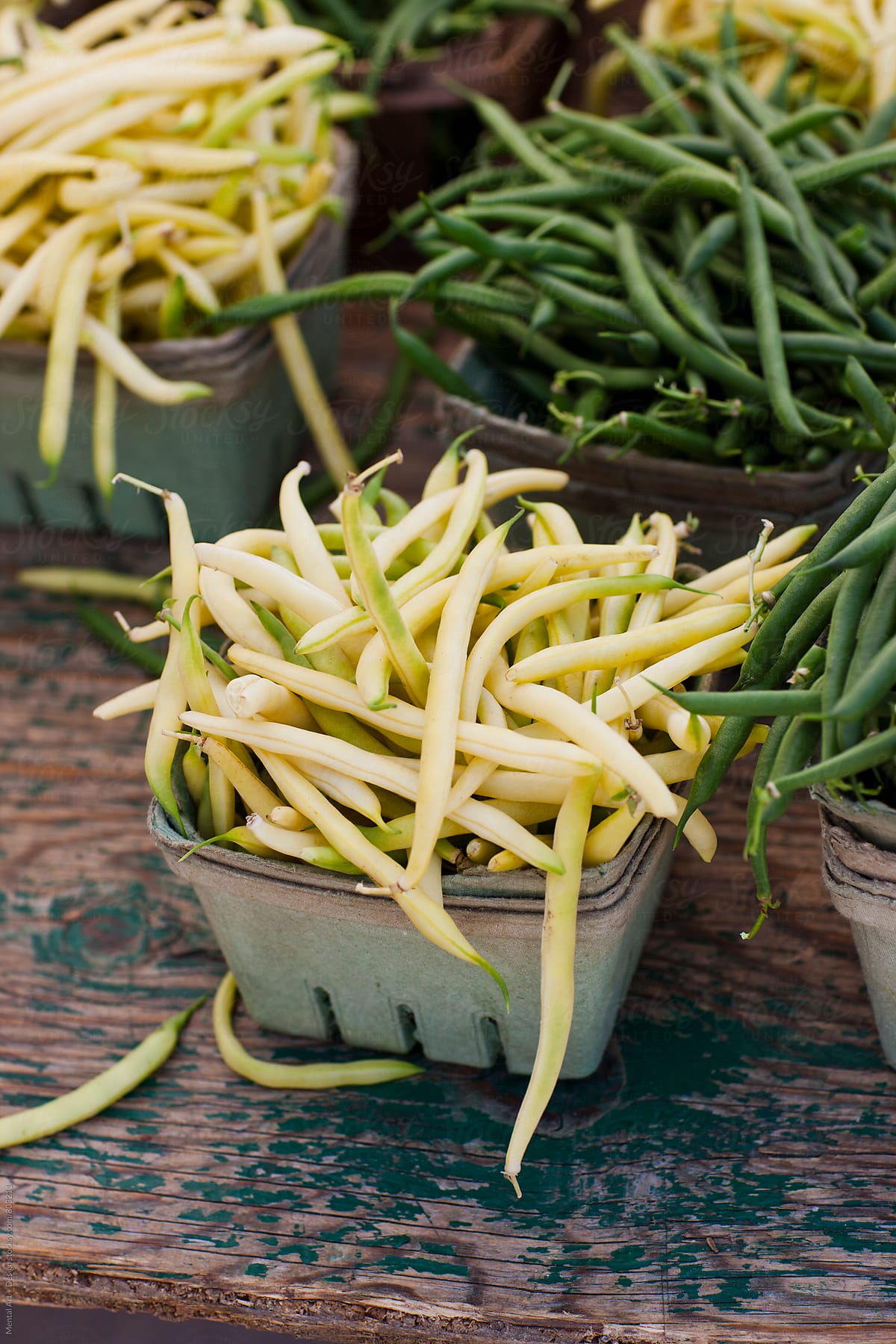 "Beans In Baskets" by Stocksy Contributor "Mental Art + Design" - Stocksy