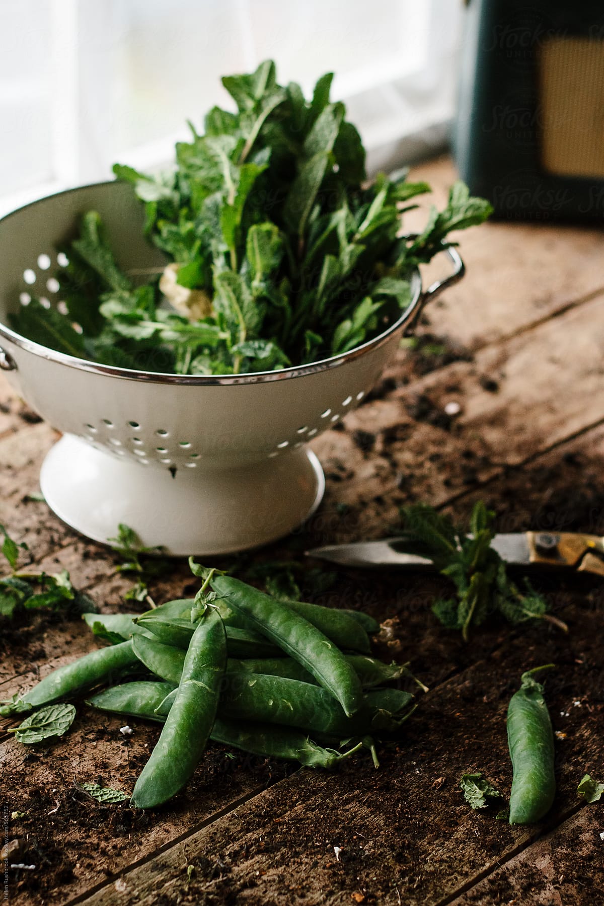 "Fresh Peas And Mint." by Stocksy Contributor "Helen Rushbrook" - Stocksy