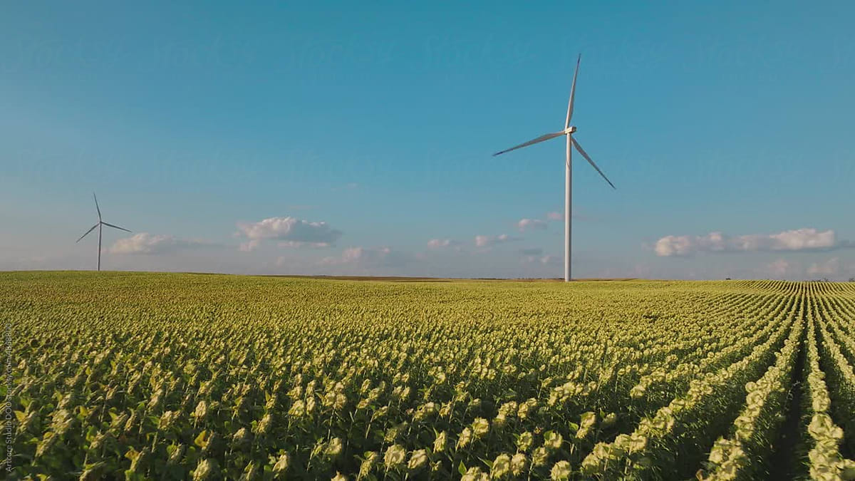"Windmill Energy Field - Green Energy Concept" by Stocksy Contributor ...