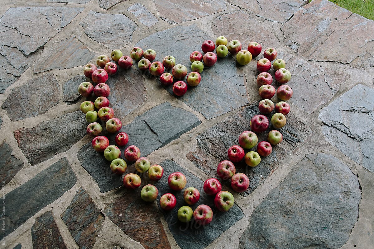 "Heart O' Apples" by Stocksy Contributor "Raymond Forbes LLC" - Stocksy