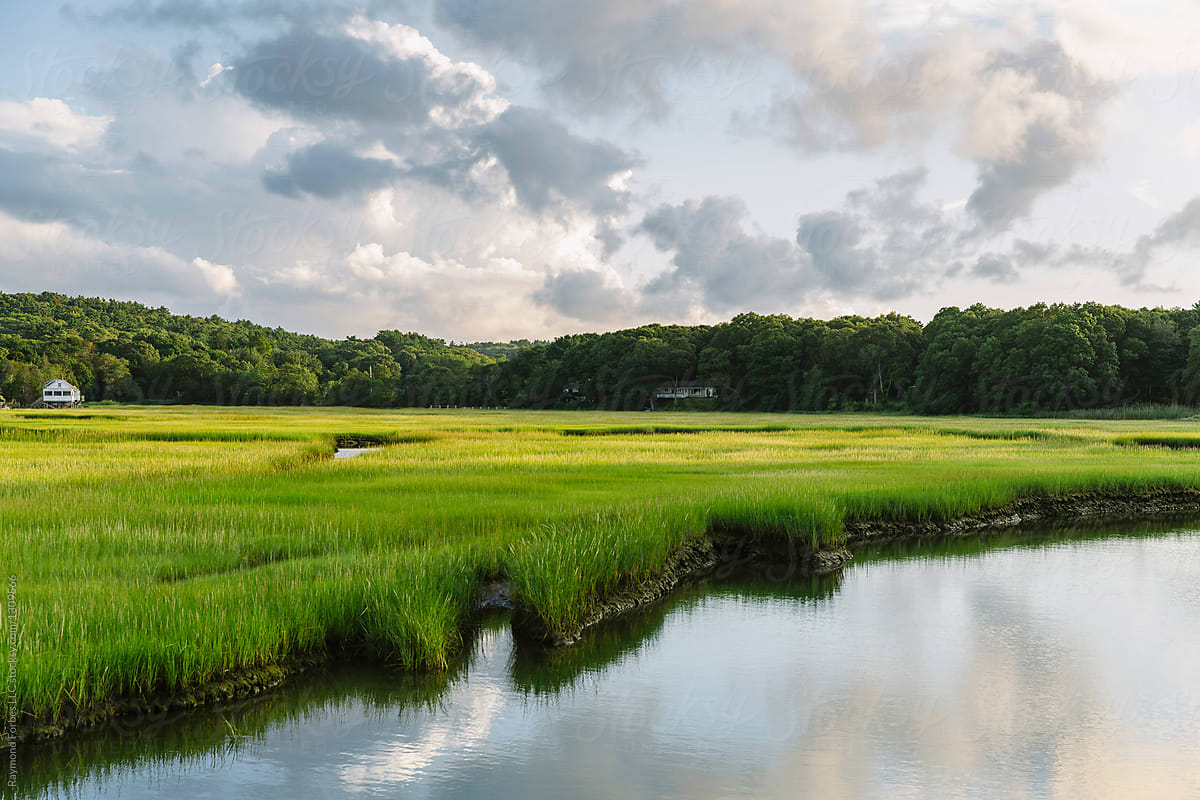 "Marsh Nature Landscape On River In Massachusetts" by Stocksy ...
