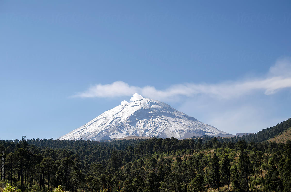 "Steaming Volcano And Pine Tree Forest" by Stocksy Contributor "Alice ...