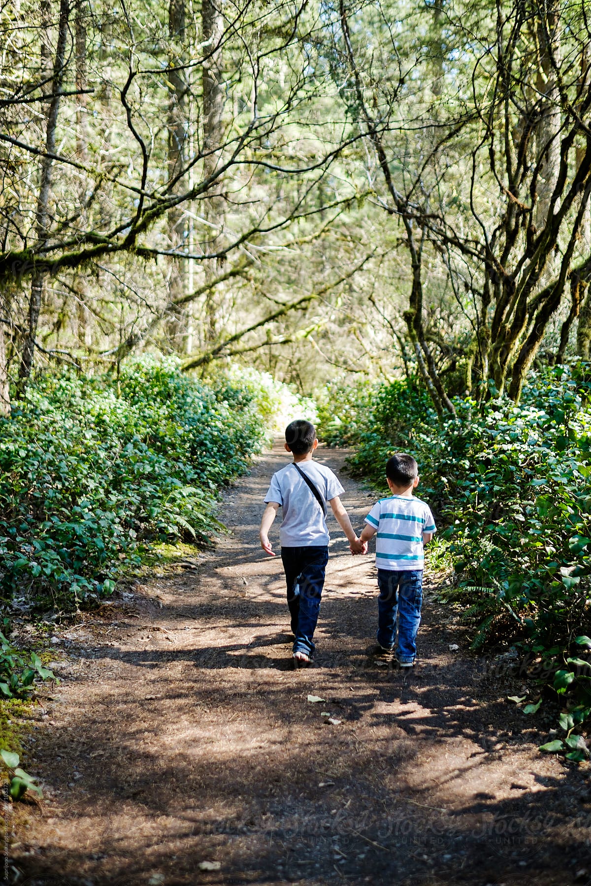 "Happy Asian Boys Hiking In The Forest" by Stocksy Contributor "Take A ...