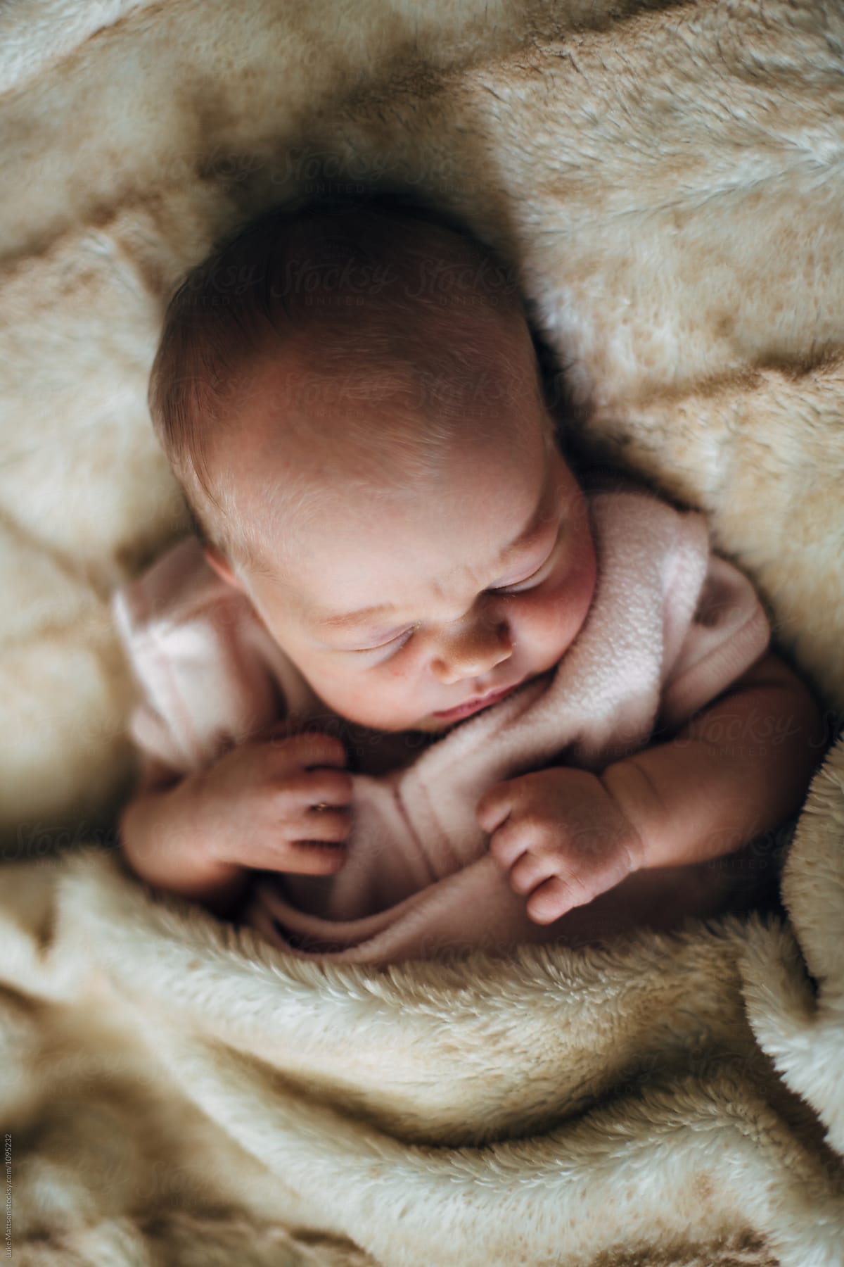 "Newborn Baby Girl Napping In Soft Furry Blanket" by Stocksy ...