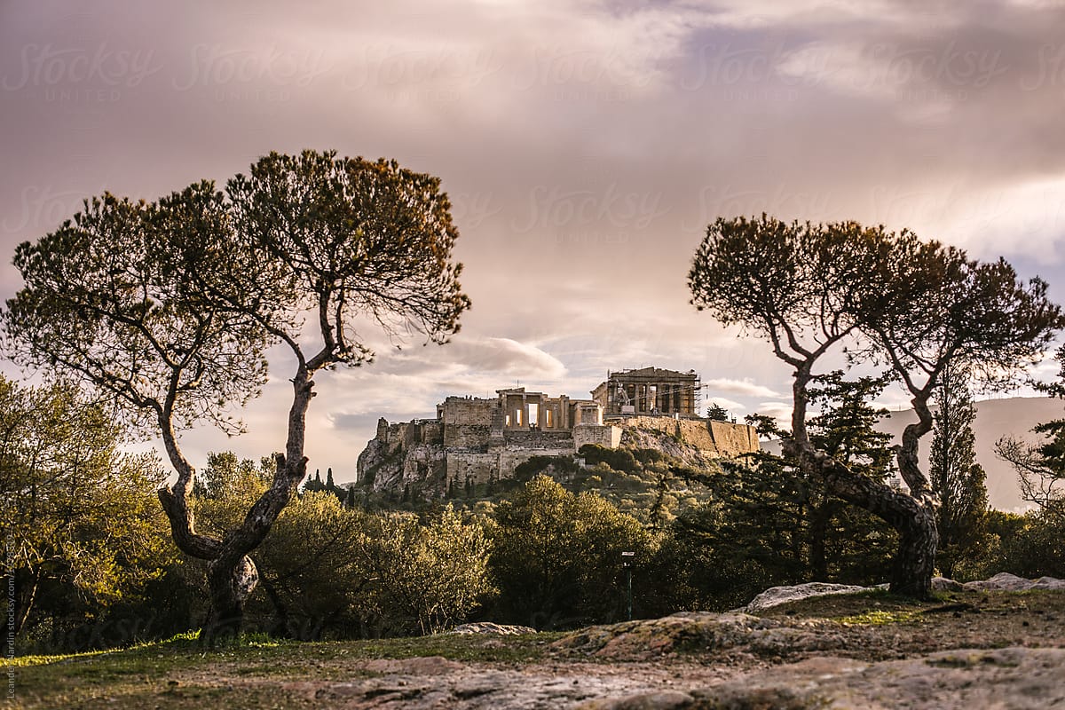 "Parthenon Temple Seen Through Mediteranean Trees At Sunrise" by ...