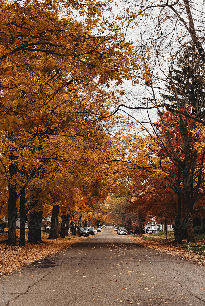 "City In The Fall" by Stocksy Contributor "Melanie DeFazio" - Stocksy