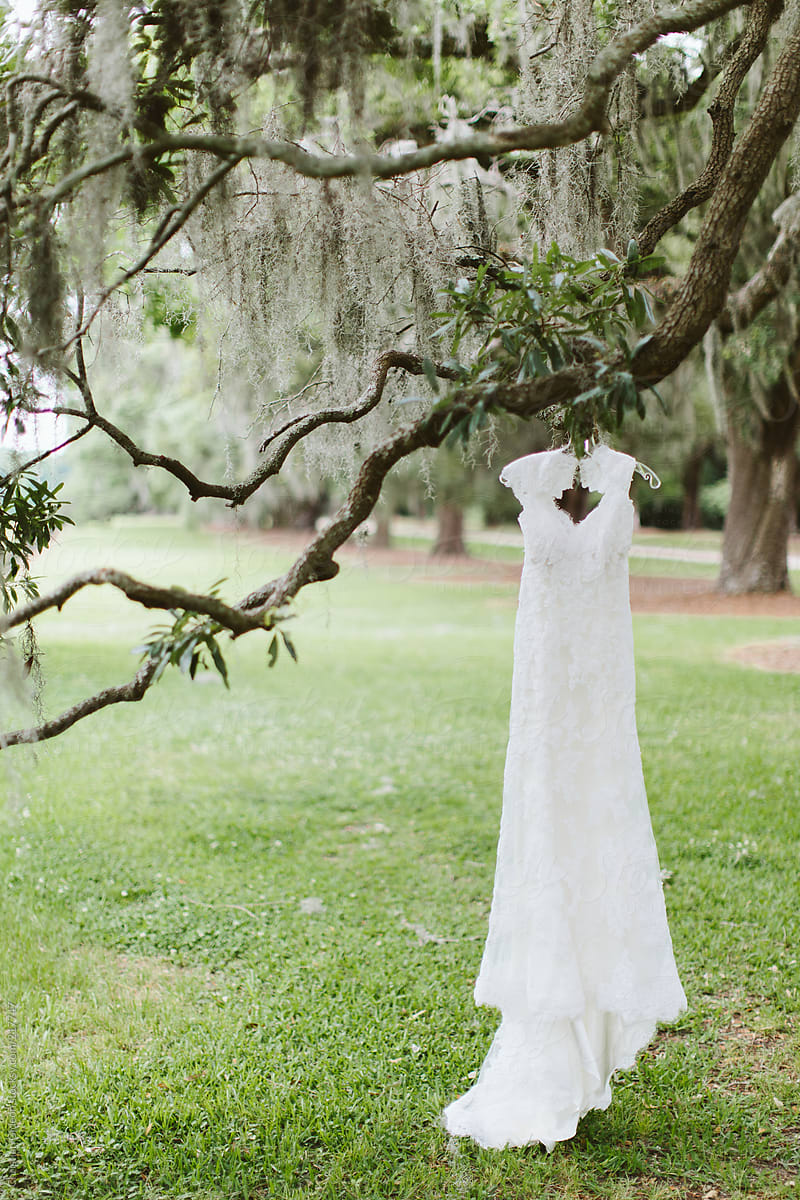 "Wedding Dress Hanging From Tree" by Stocksy Contributor "Christian ...