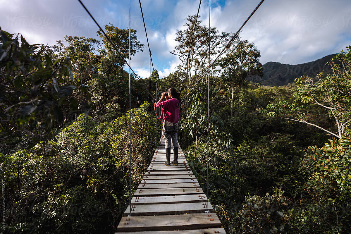 Woman Walking Through A Hanging Bridge in amazing landscape - Stock ...