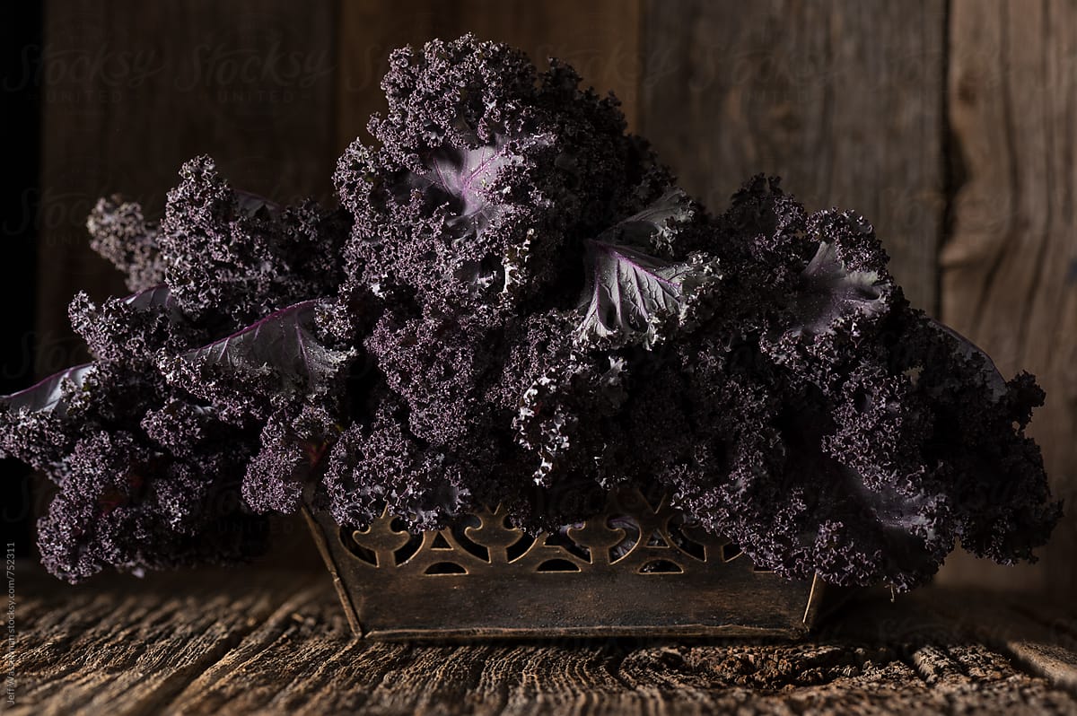 "Purple Kale In Rustic Setting" by Stocksy Contributor "Jeff Wasserman ...