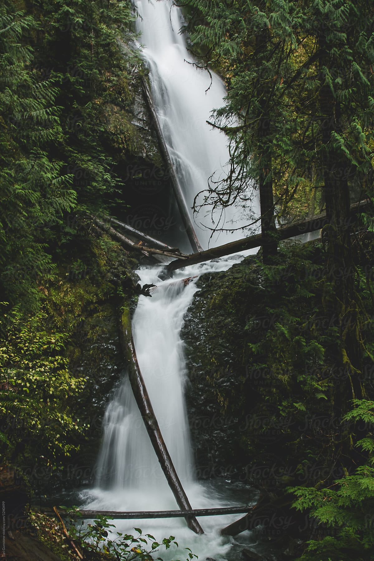 "Pacific Northwest Waterfall" by Stocksy Contributor "Tari Gunstone ...