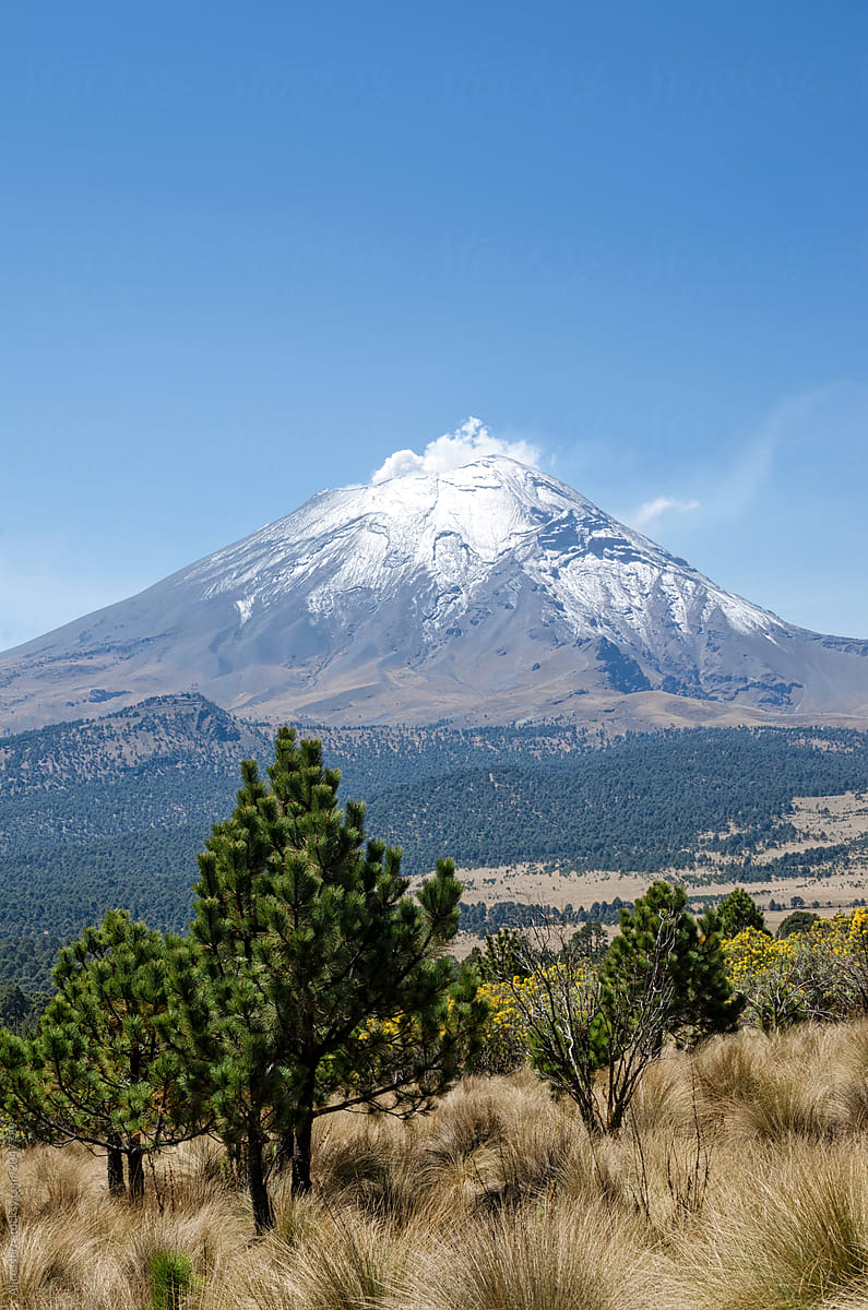 "Active Volcano And Pine Tree Forest" by Stocksy Contributor "Alice ...
