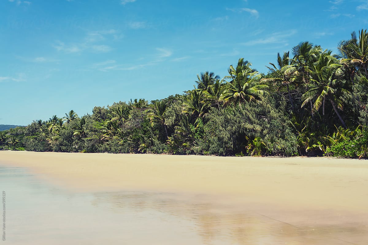 "Deserted Tropical Beach, Queensland, Australia" by Stocksy Contributor ...