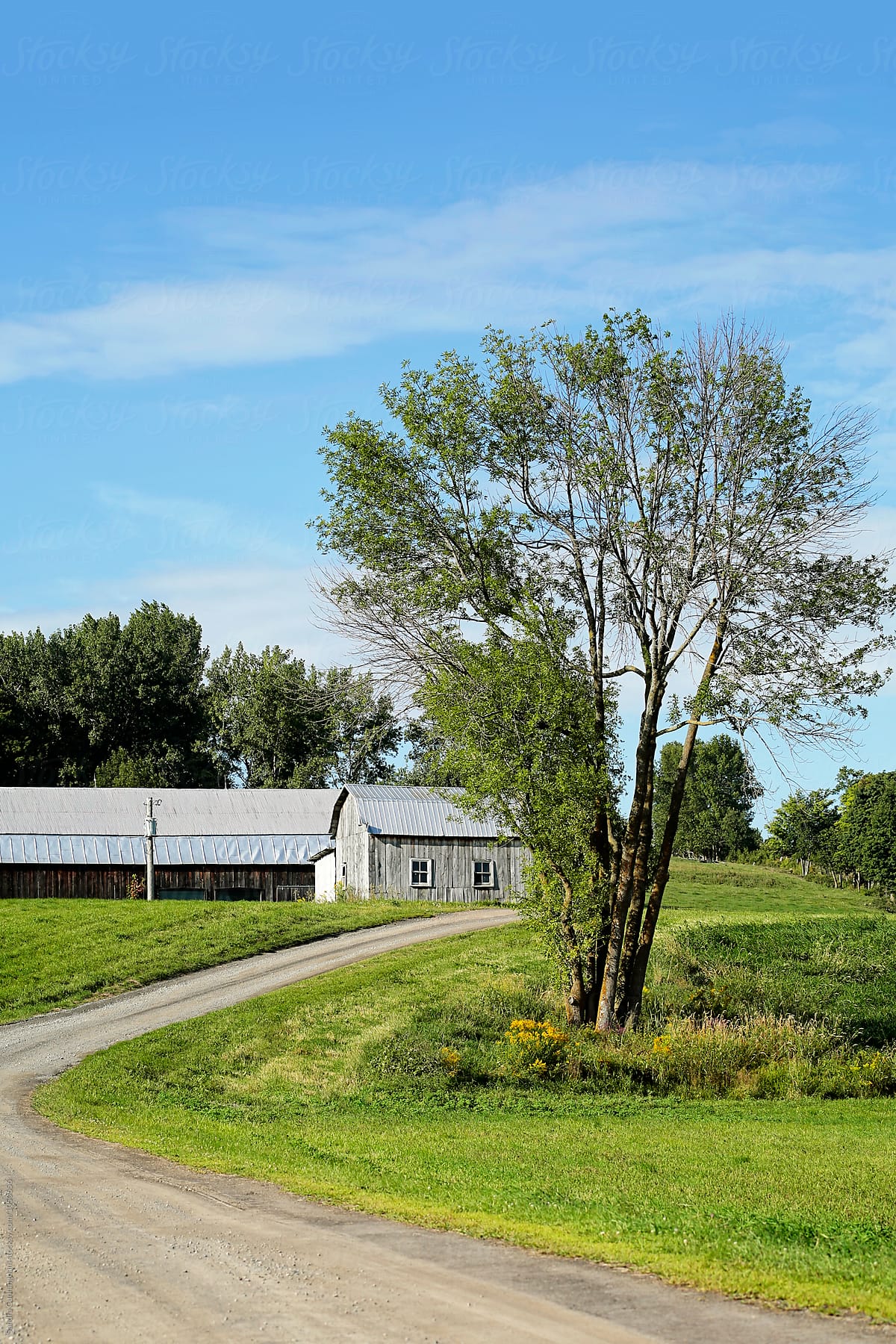 "Rural Barn On Hill In Summer" by Stocksy Contributor "Sandra ...