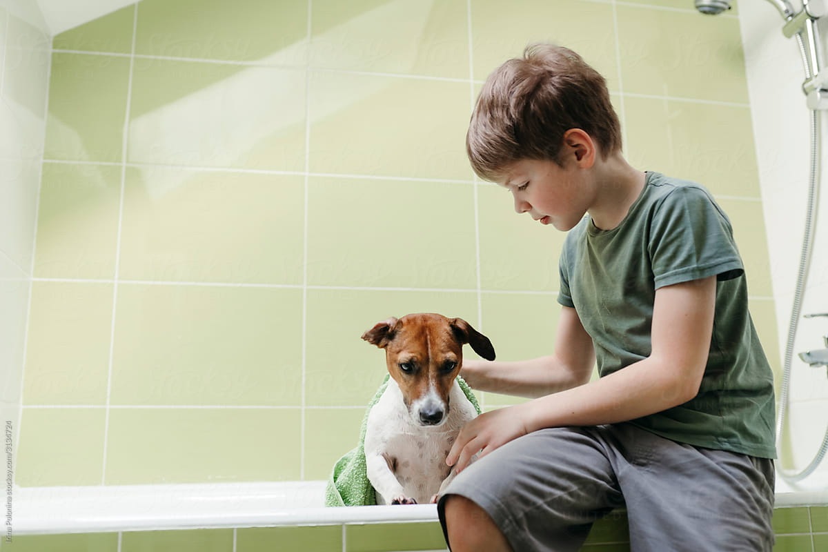 "A Cute Little Boy Takes Care Of His Dog At Home." by Stocksy ...