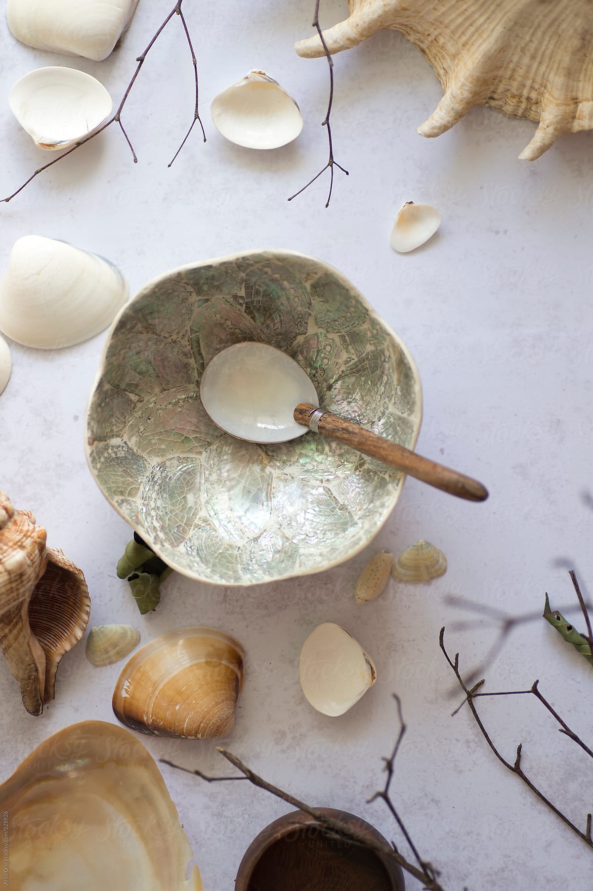 "Beautiful Set Of Tableware Made Of Seashell" by Stocksy Contributor ...