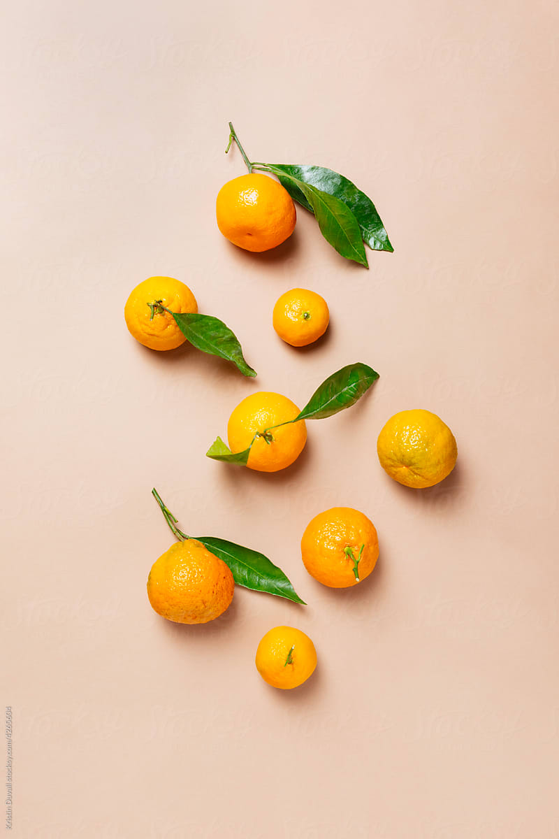 "Satsuma Mandarian Oranges Top View" by Stocksy Contributor "Kristin ...