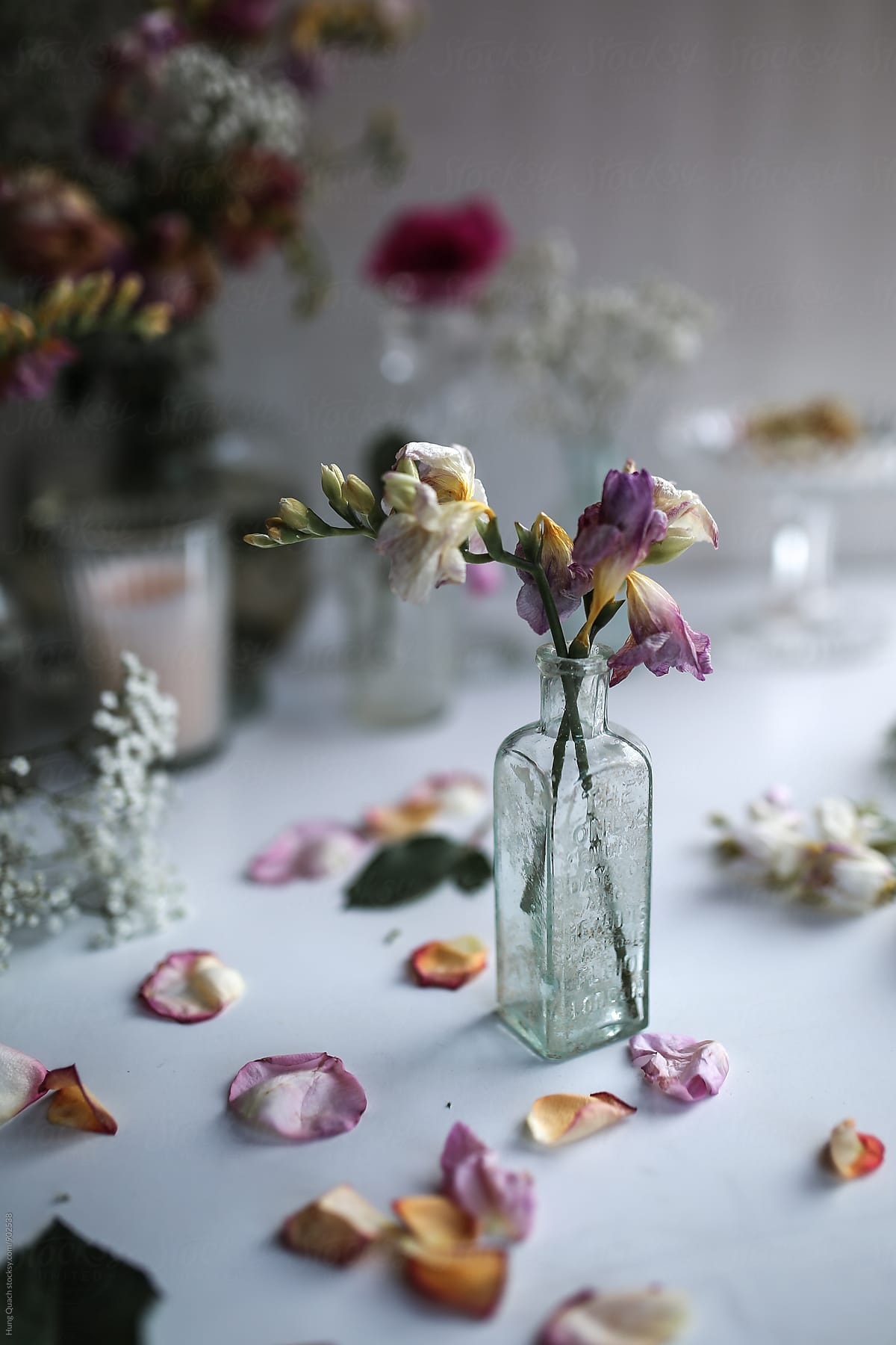 "Styling & Arranging Flowers" by Stocksy Contributor "Hung Quach" - Stocksy