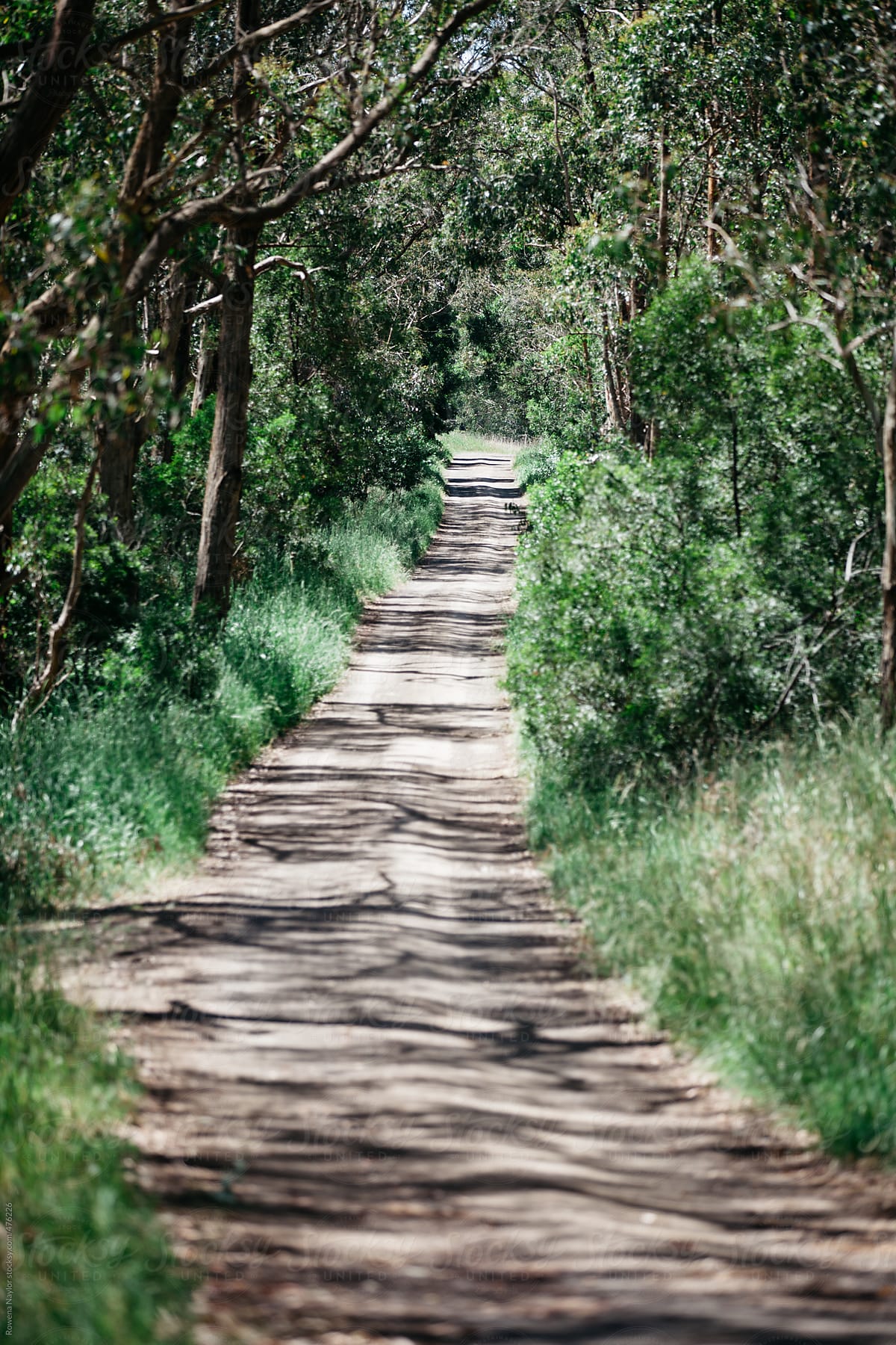 "Country Road To Nowhere" by Stocksy Contributor "Rowena Naylor" - Stocksy