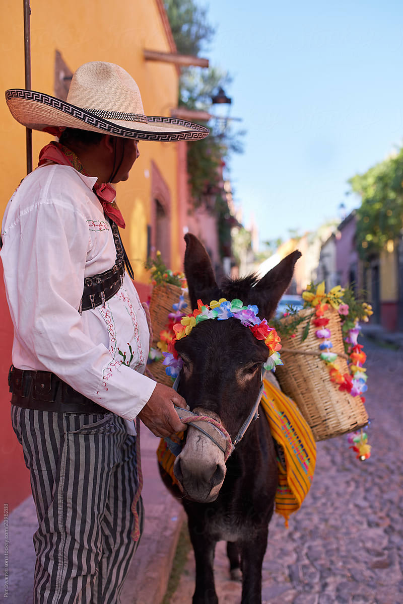 "Traditionally Dressed Mexican Man With Sombrero" by Stocksy ...