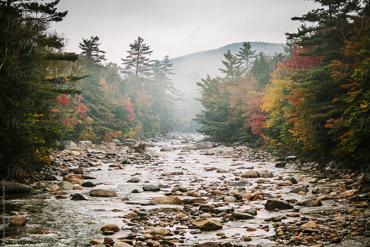 "River Near Kankamagus Highway At Lincoln New Hampshire" by Stocksy ...