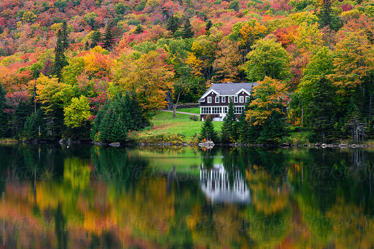 "Lakeside House In Autumn" by Stocksy Contributor "Leslie Taylor" - Stocksy