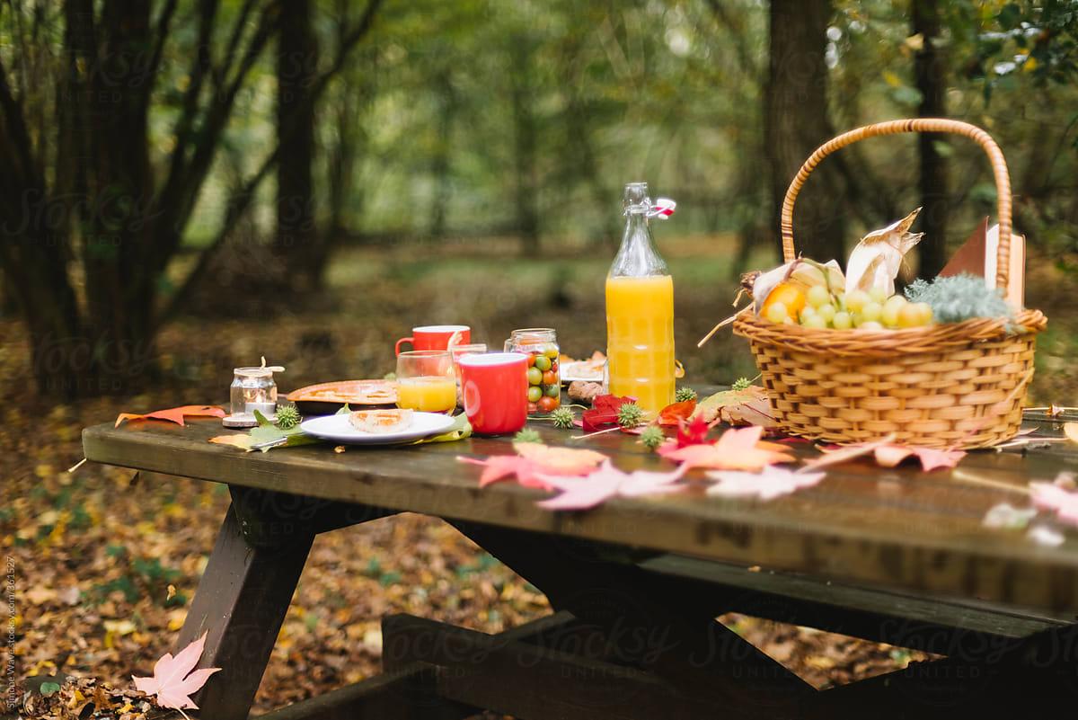 "Autumn Table For Outdoors Picnic" by Stocksy Contributor "koganami ...