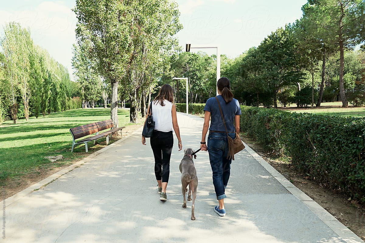 "Rear View Of Two Walking Two Dog." by Stocksy Contributor "Guille ...