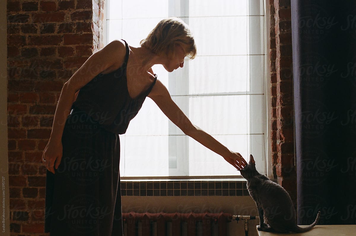 "Woman Stretches To A Cat. Silhouette." by Stocksy Contributor "Amor ...