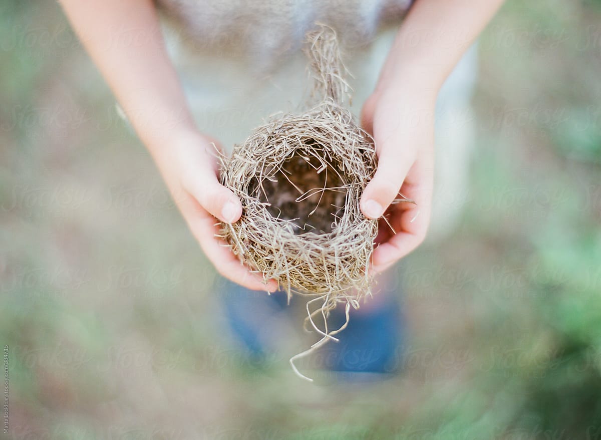 "Child Holding A Bird Nest" by Stocksy Contributor "Marta Locklear ...