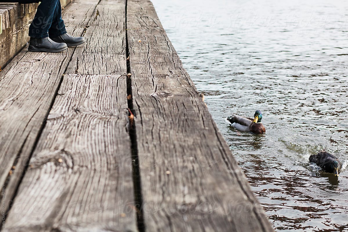 "Feet Of Young Boy Feeding Ducks By Water's Edge" by Stocksy ...