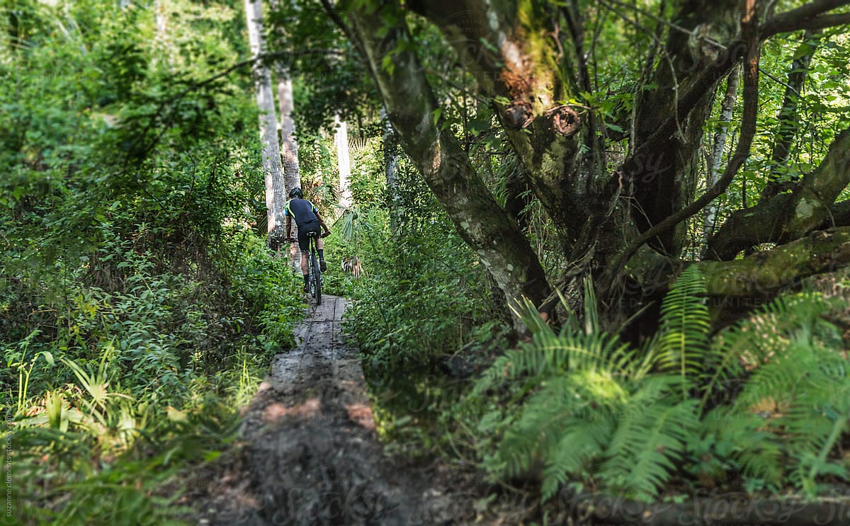"Mountain Biker In The Florida Scrub Trails" by Stocksy Contributor ...
