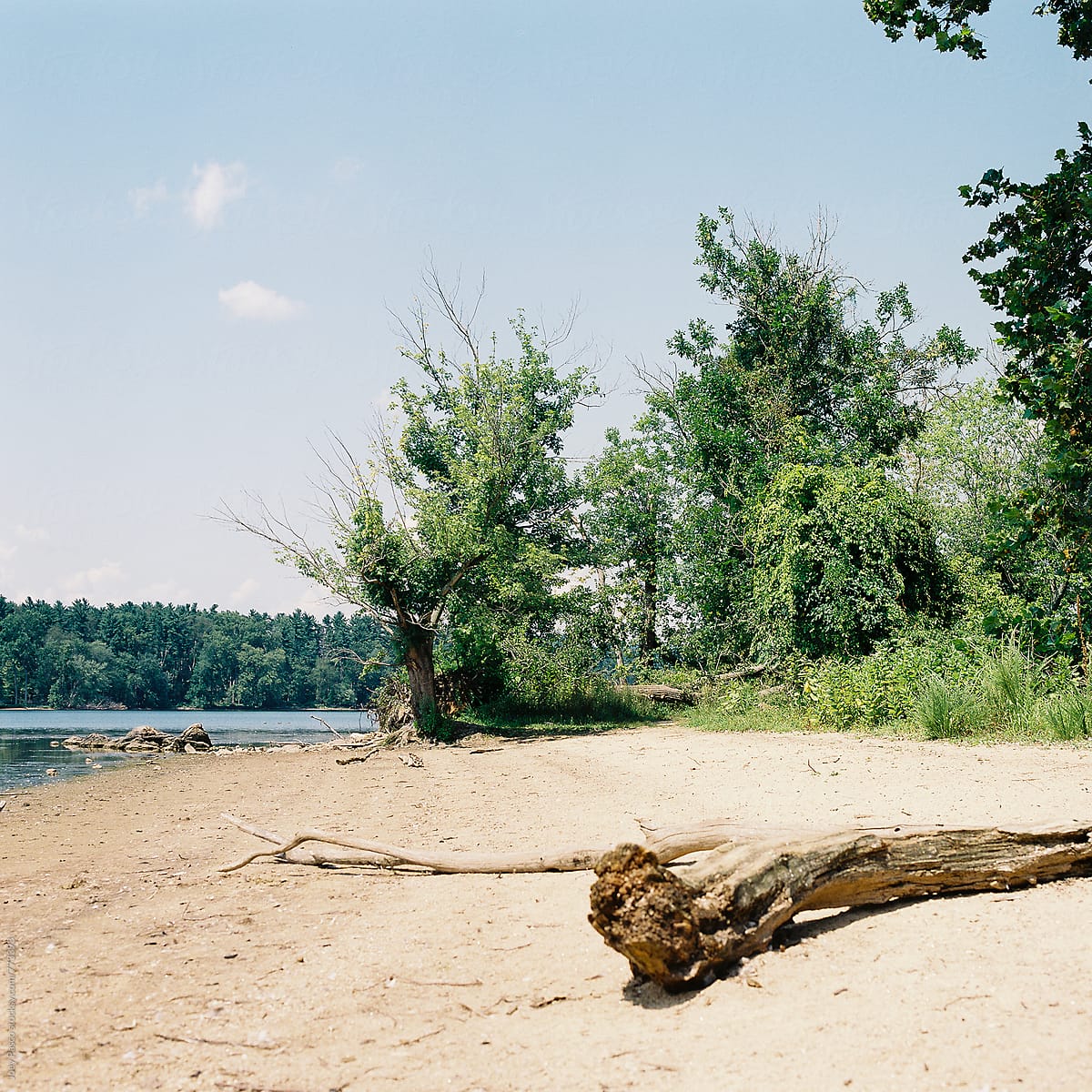 "Log On The Lake Shore" by Stocksy Contributor "Joey Pasco" - Stocksy