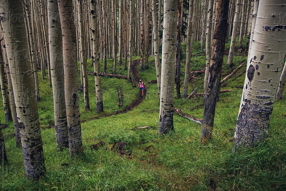 "Running Through The Forest" by Stocksy Contributor "Benjamin Schedler ...
