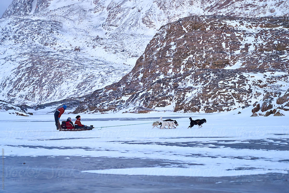 "Inuit With Greenlandic Dogs (sledge, Sled Dog Or Husky) On Polar Ice ...